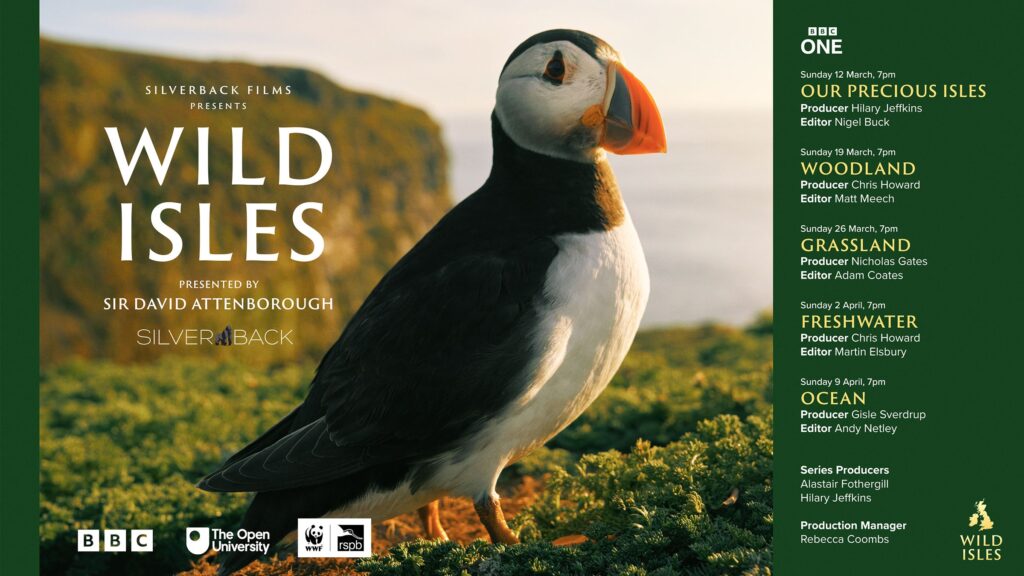Wild Isles book release - Jules Cox Wildlife Photography